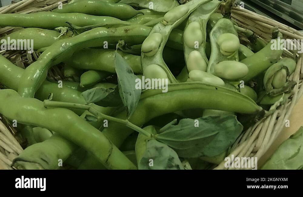 Broad bean basket beans Stock Videos & Footage - HD and 4K Video Clips ...