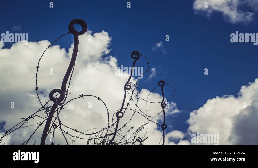 Bunker archeology Stock Videos & Footage - HD and 4K Video Clips - Alamy