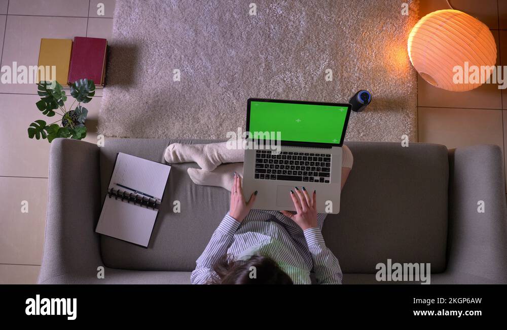 Closeup top shoot of young attractive female using the laptop with ...