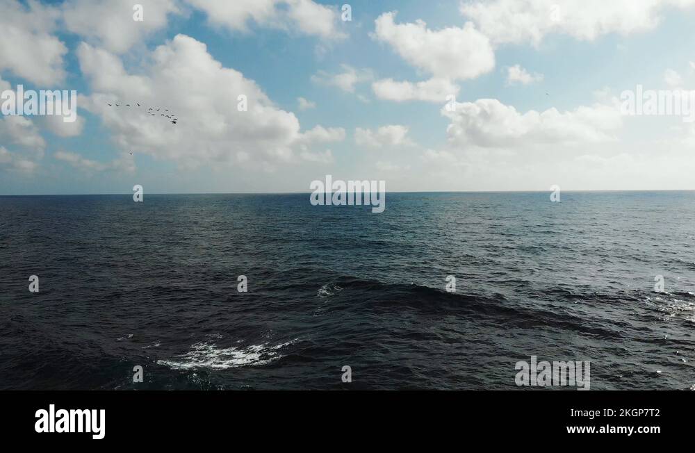 Flock of birds over the sea with waves Stock Videos & Footage - HD and ...
