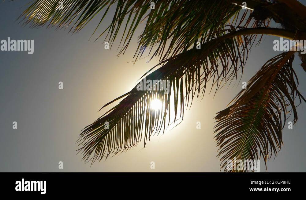 Sun beam Stock Videos & Footage - HD and 4K Video Clips - Alamy