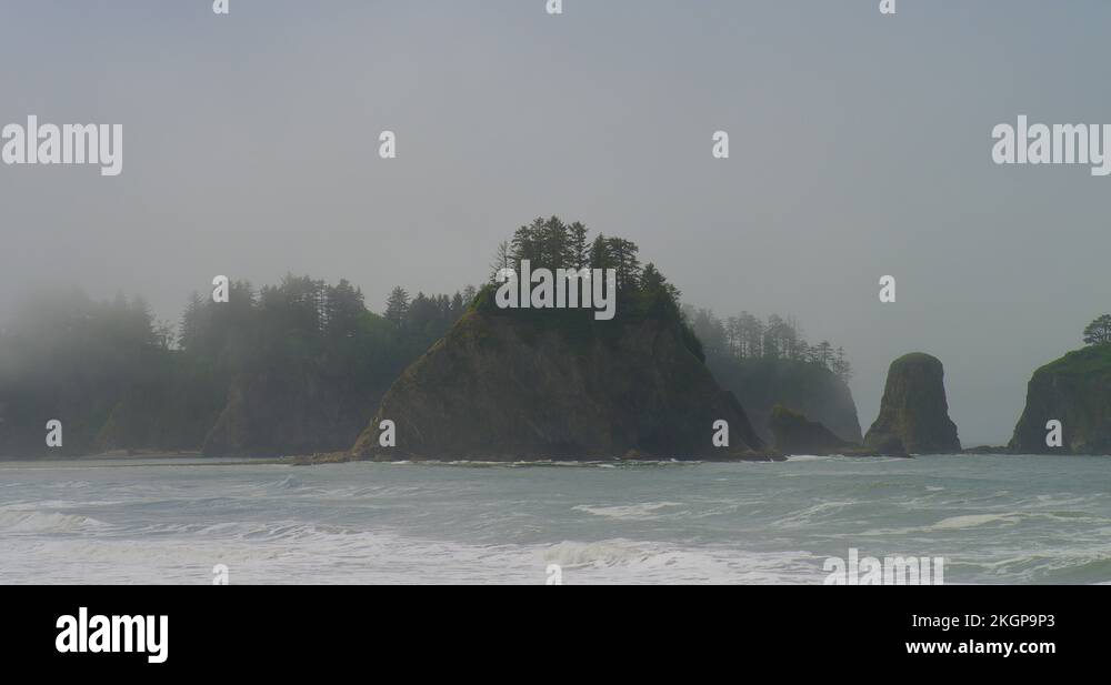 Ruby washington Stock Videos & Footage - HD and 4K Video Clips - Alamy