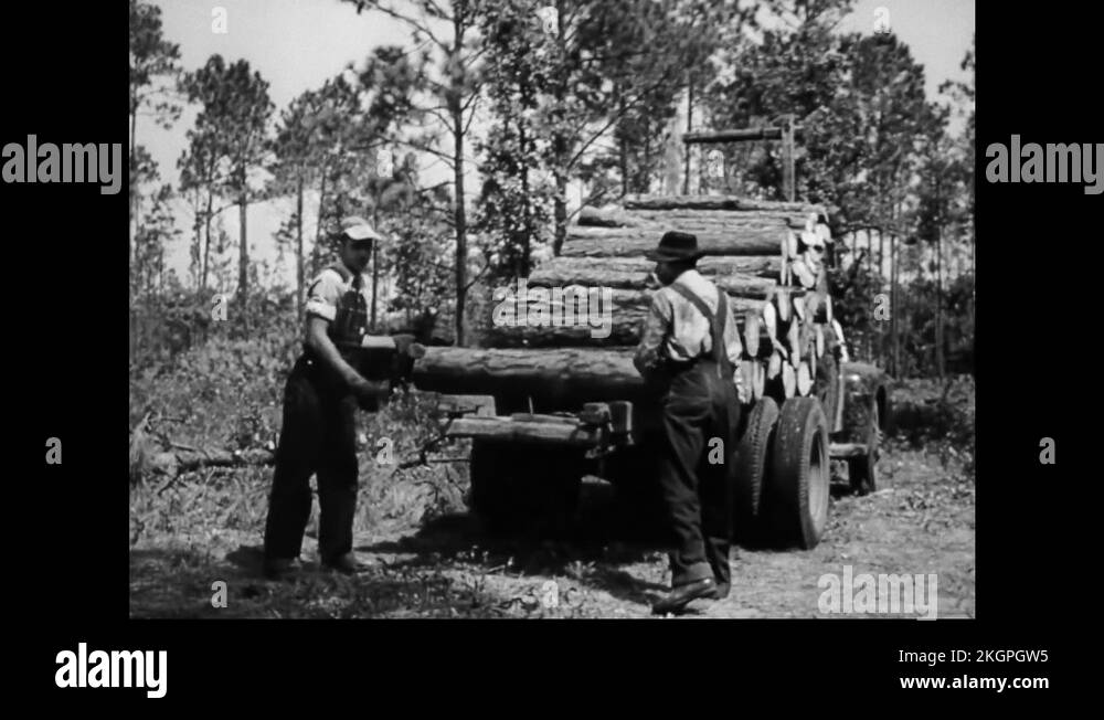 Loading tree trunks Stock Videos & Footage - HD and 4K Video Clips - Alamy
