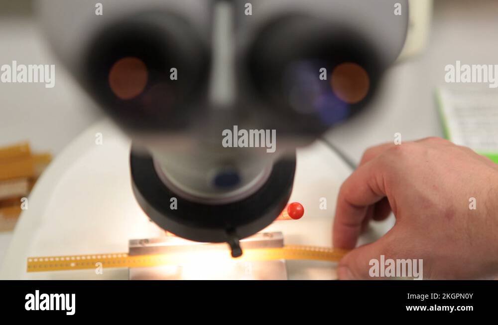 Test sample microscope Stock Videos & Footage - HD and 4K Video Clips ...