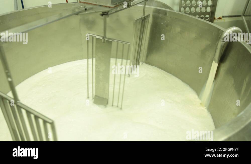 Blue cheese gouda Factory food process parmesan swiss dairy feta france ...