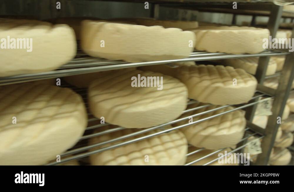 Blue cheese gouda Factory food process parmesan swiss dairy feta france ...