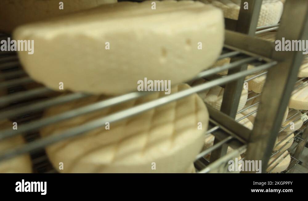 Blue cheese gouda Factory food process parmesan swiss dairy feta france ...