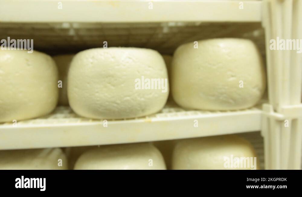 Blue cheese gouda Factory food process parmesan swiss dairy feta france ...