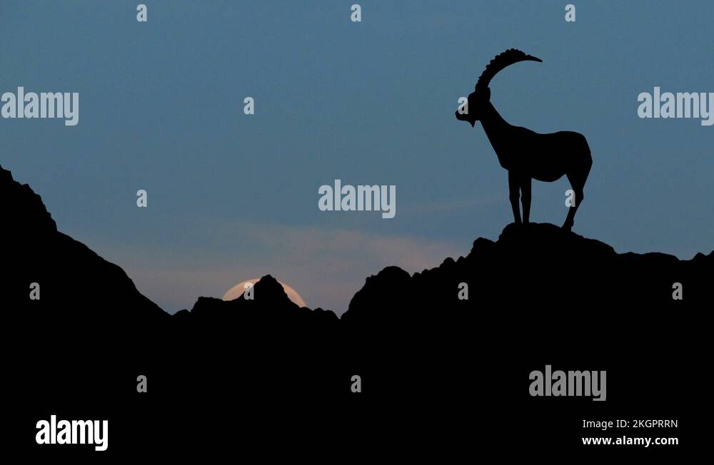 Triglav symbol Stock Videos & Footage - HD and 4K Video Clips - Alamy