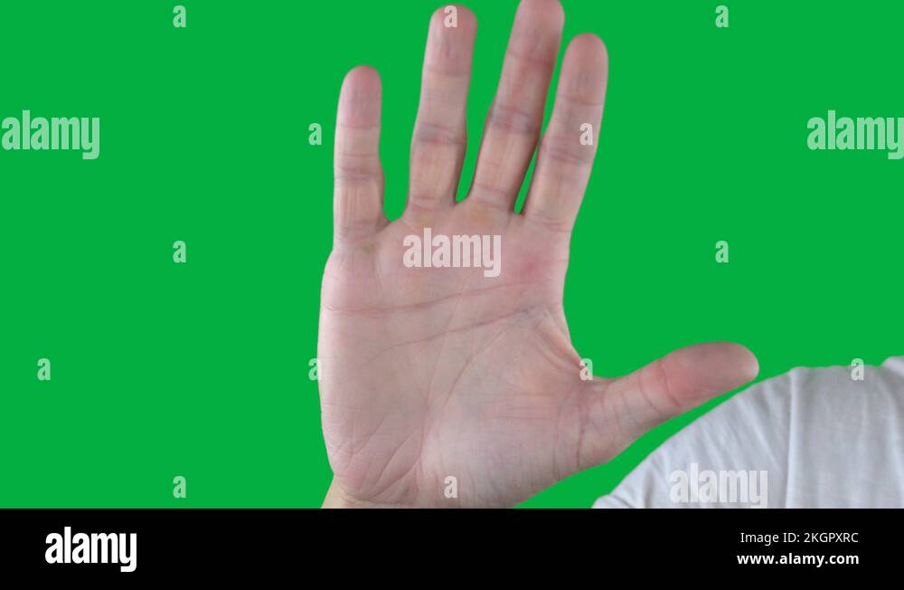 Covering camera Stock Videos & Footage - HD and 4K Video Clips - Alamy