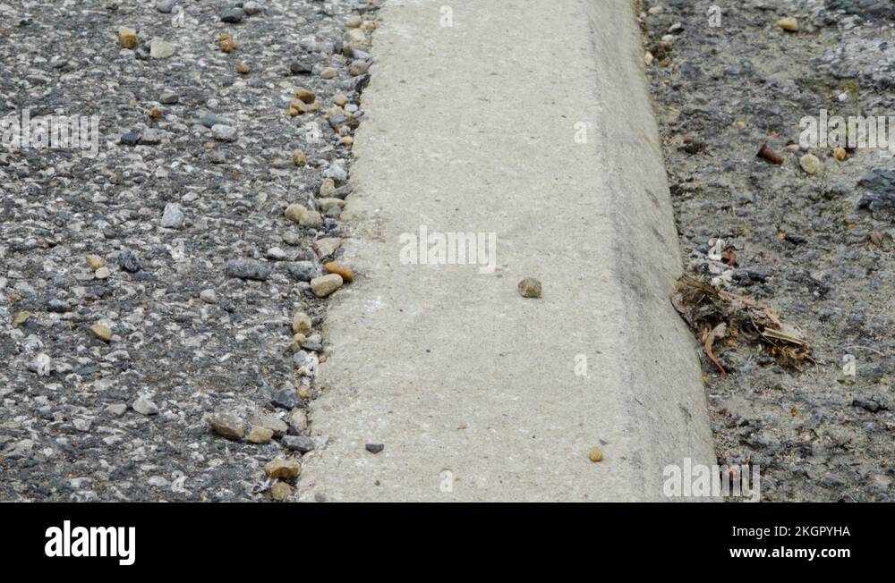 Kerb stone edge Stock Videos & Footage - HD and 4K Video Clips - Alamy