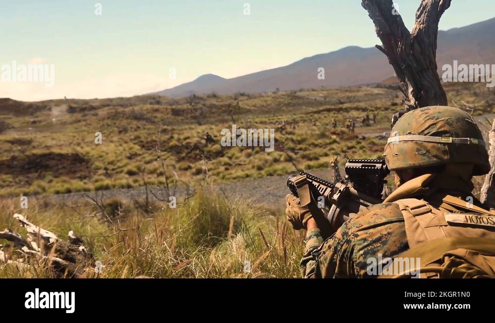 Marines sniper platoon weapons Stock Videos & Footage - HD and 4K Video ...