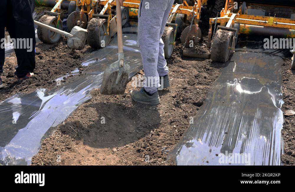 Plastic mulch layer Stock Videos & Footage - HD and 4K Video Clips - Alamy