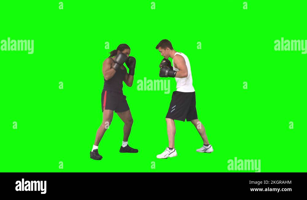 Men boxing Stock Videos & Footage - HD and 4K Video Clips - Alamy