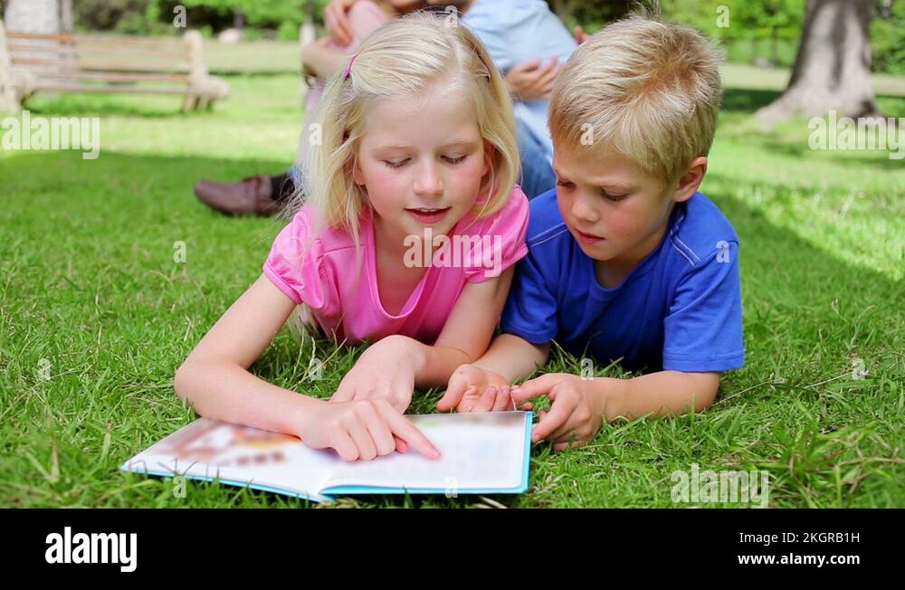 Boy pointing at book Stock Videos & Footage - HD and 4K Video Clips - Alamy