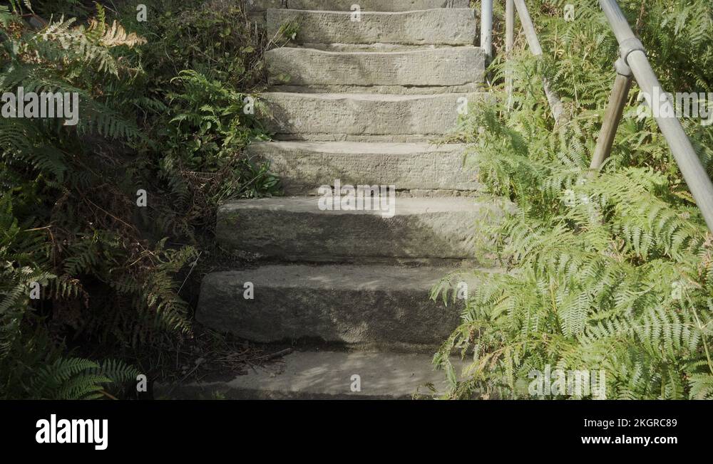 Steep stone steps Stock Videos & Footage - HD and 4K Video Clips - Alamy