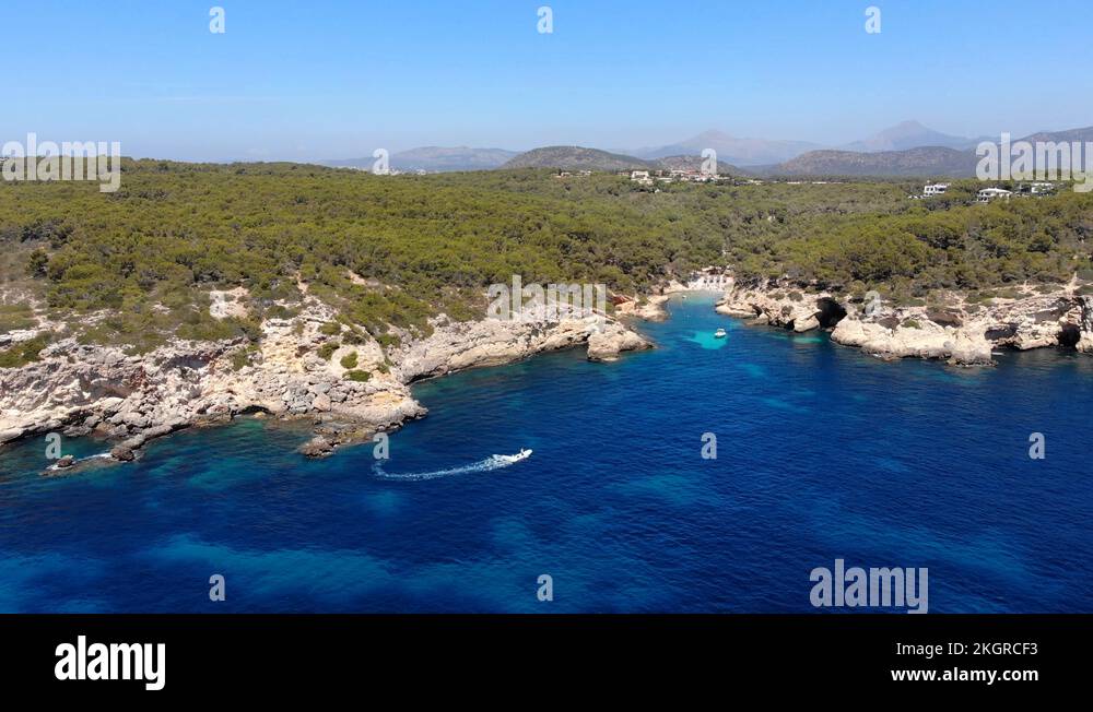 De falco Stock Videos & Footage - HD and 4K Video Clips - Alamy