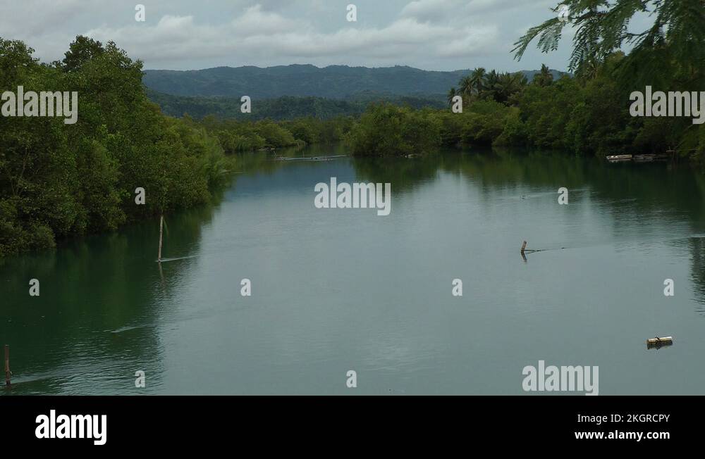 Mangrover trees along a river on Panay island in Philippines Stock ...