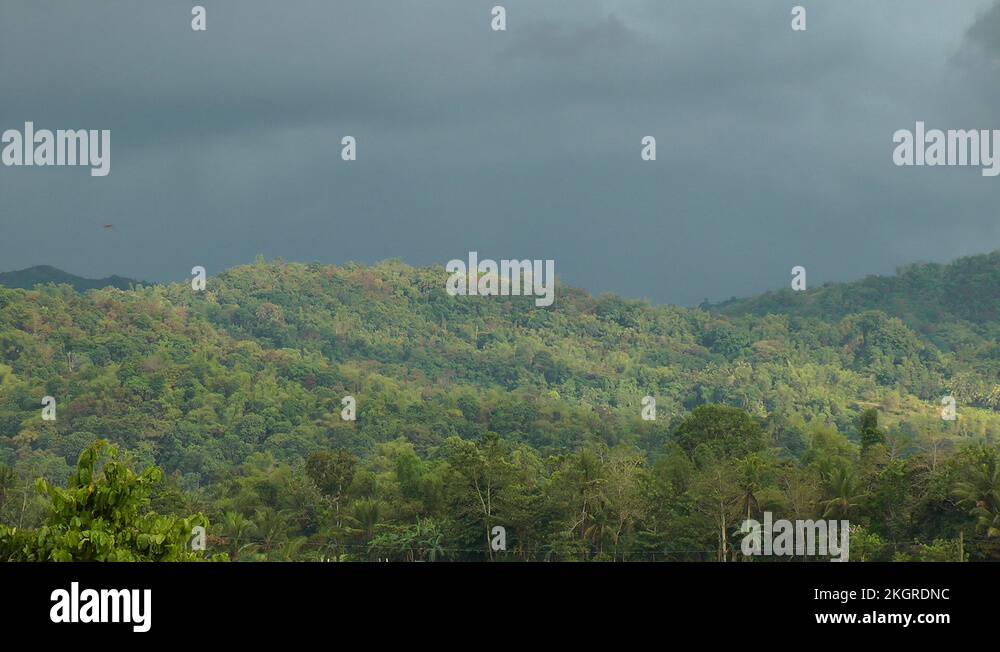Jungle covered mountains on Panay island in the Philippines Stock Video ...