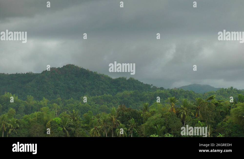 Jungle covered mountains on Panay island in the Philippines Stock Video ...