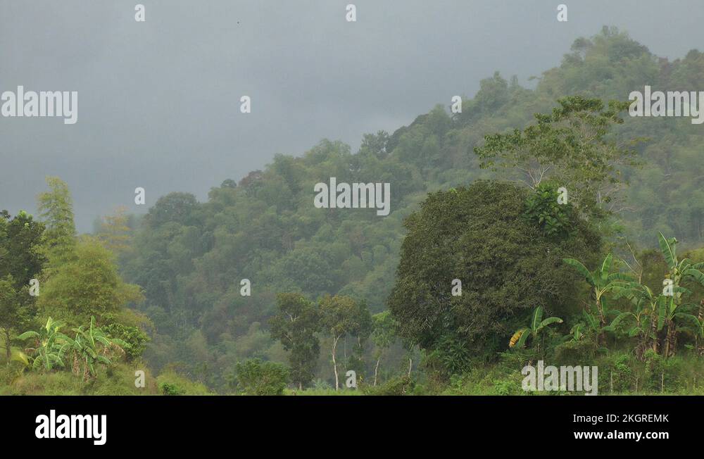 Jungle covered mountains on Panay island in the Philippines Stock Video ...