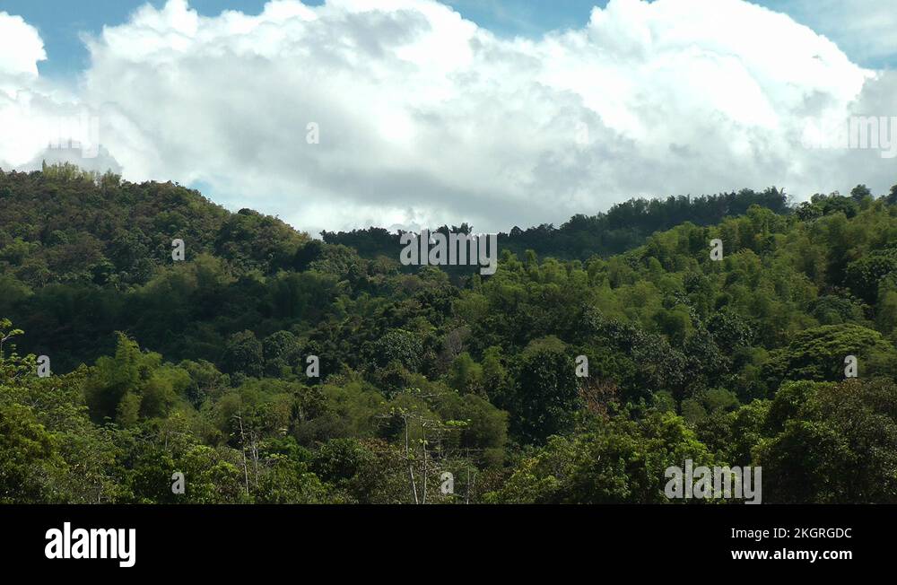 Jungle covered mountains on Panay island in the Philippines Stock Video ...