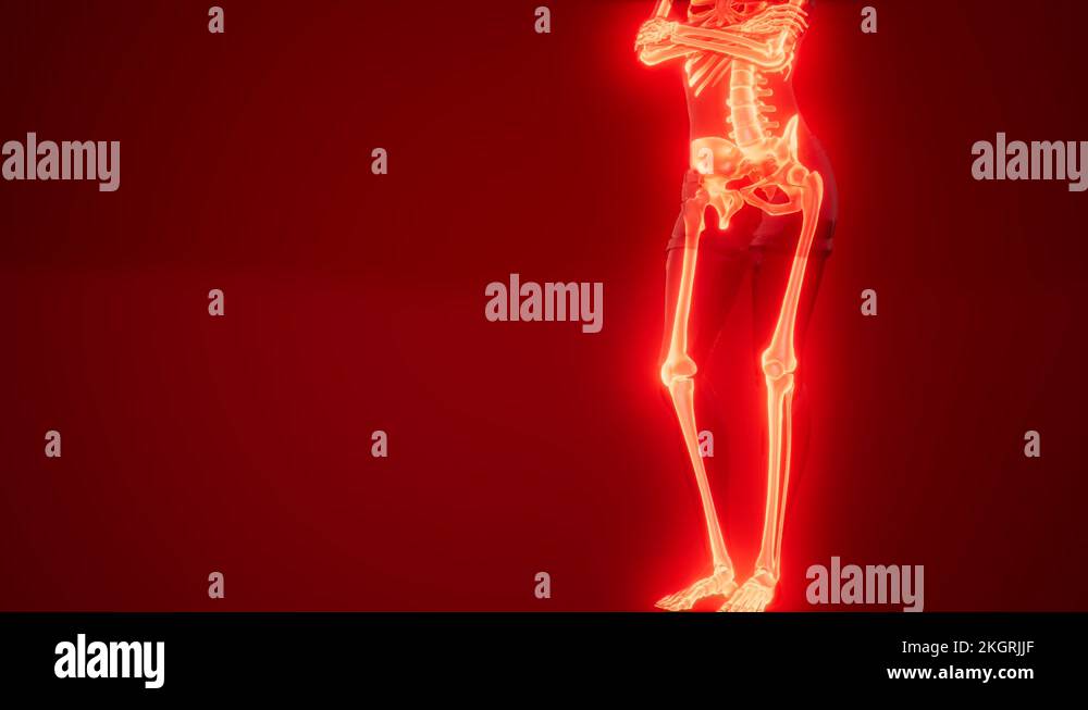 Human Skeleton Radiography Medical Scan Stock Video Footage - Alamy