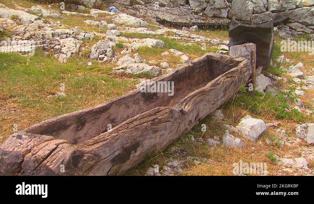 Old empty wooden trough for water. Wooden trough where animals drink ...