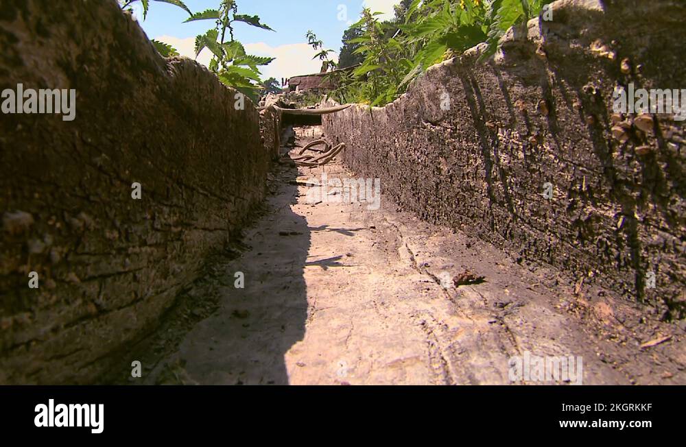 Water trough wooden Stock Videos & Footage - HD and 4K Video Clips - Alamy