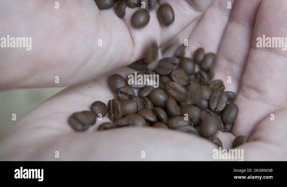 Roasted coffee seeds Stock Videos & Footage - HD and 4K Video Clips - Alamy