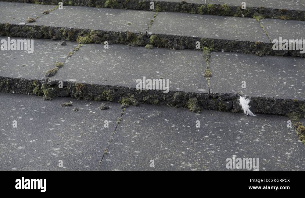 Slate roofing tiles Stock Videos & Footage - HD and 4K Video Clips - Alamy