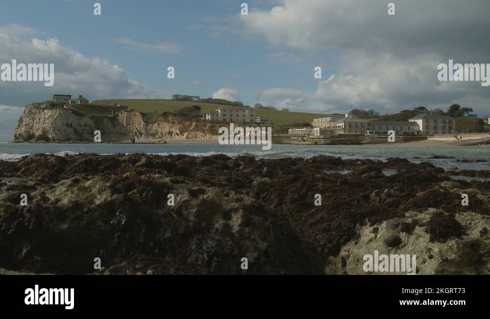 Freshwater uk Stock Videos & Footage - HD and 4K Video Clips - Alamy