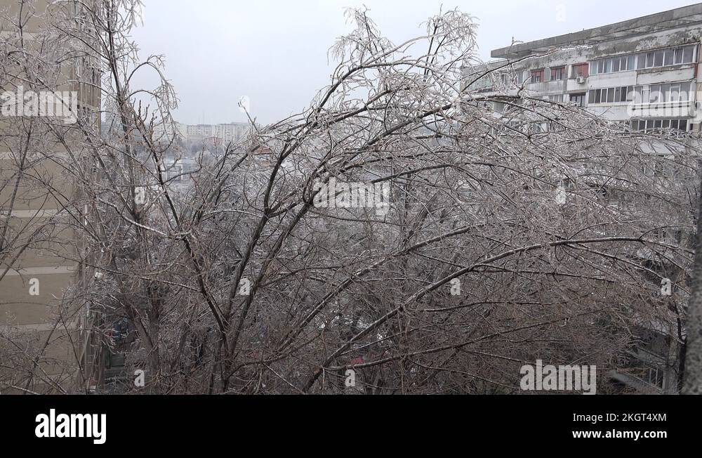 Freeze frozen water Stock Videos & Footage - HD and 4K Video Clips - Alamy