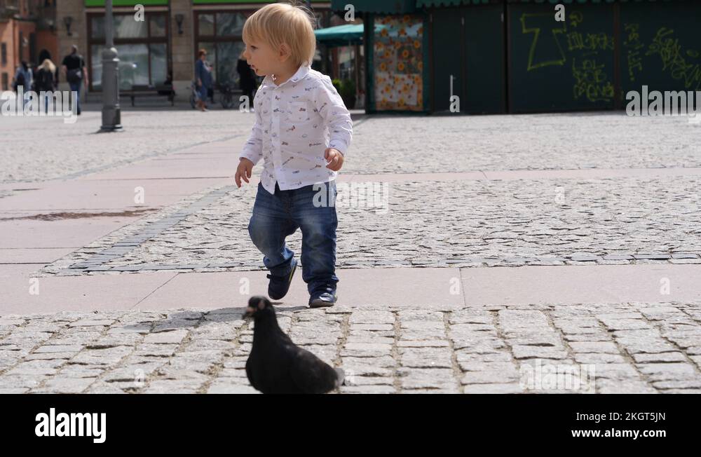 Kid boy catch bird Stock Videos & Footage - HD and 4K Video Clips - Alamy