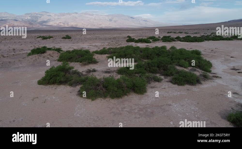 Death Valley Ground. Consisting of soil, rocks, sand and grass. 4k ...