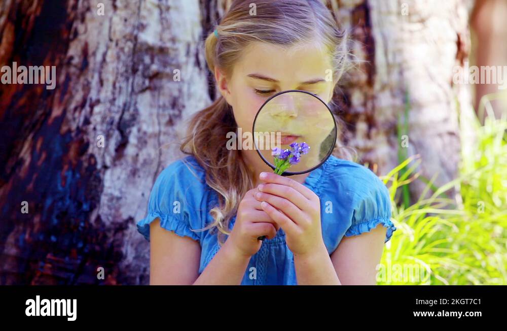 Using a magnifying glass Stock Videos & Footage - HD and 4K Video Clips ...