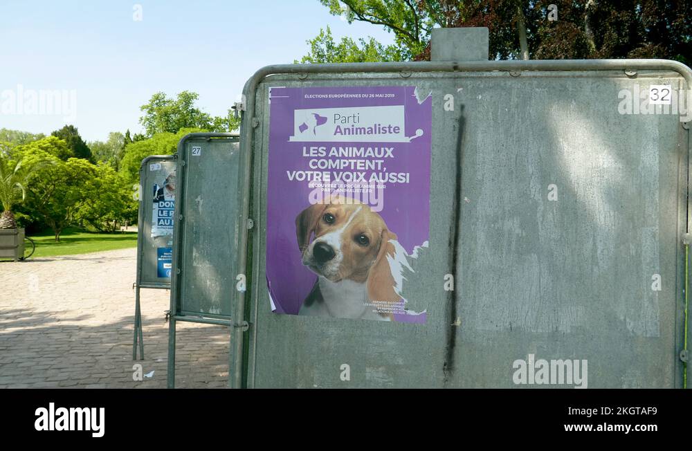 Propaganda poster campaigns Stock Videos & Footage - HD and 4K Video ...