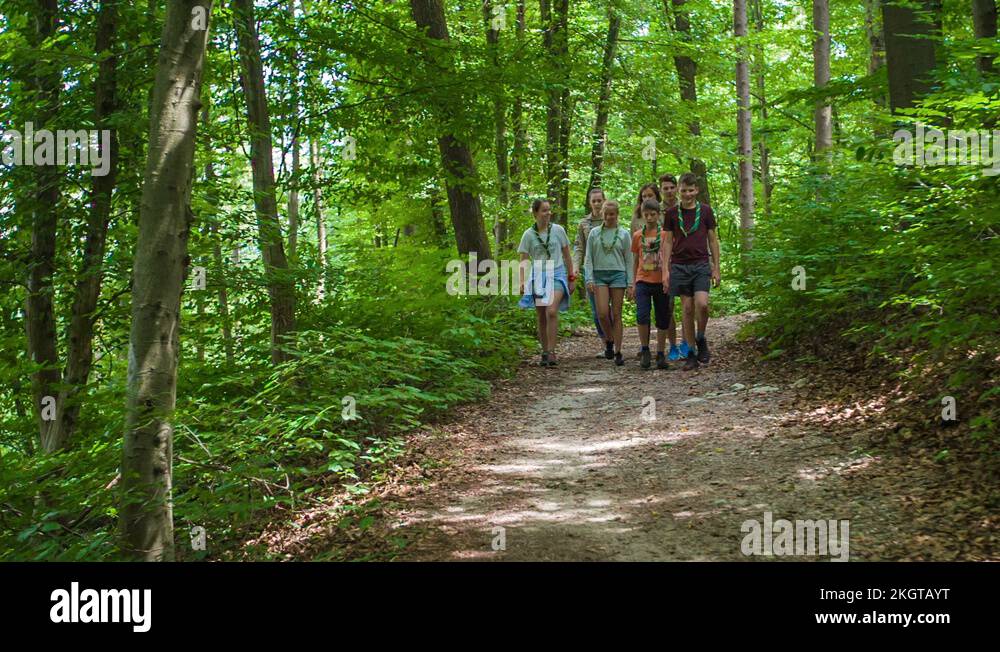 Scout activity forest Stock Videos & Footage - HD and 4K Video Clips ...