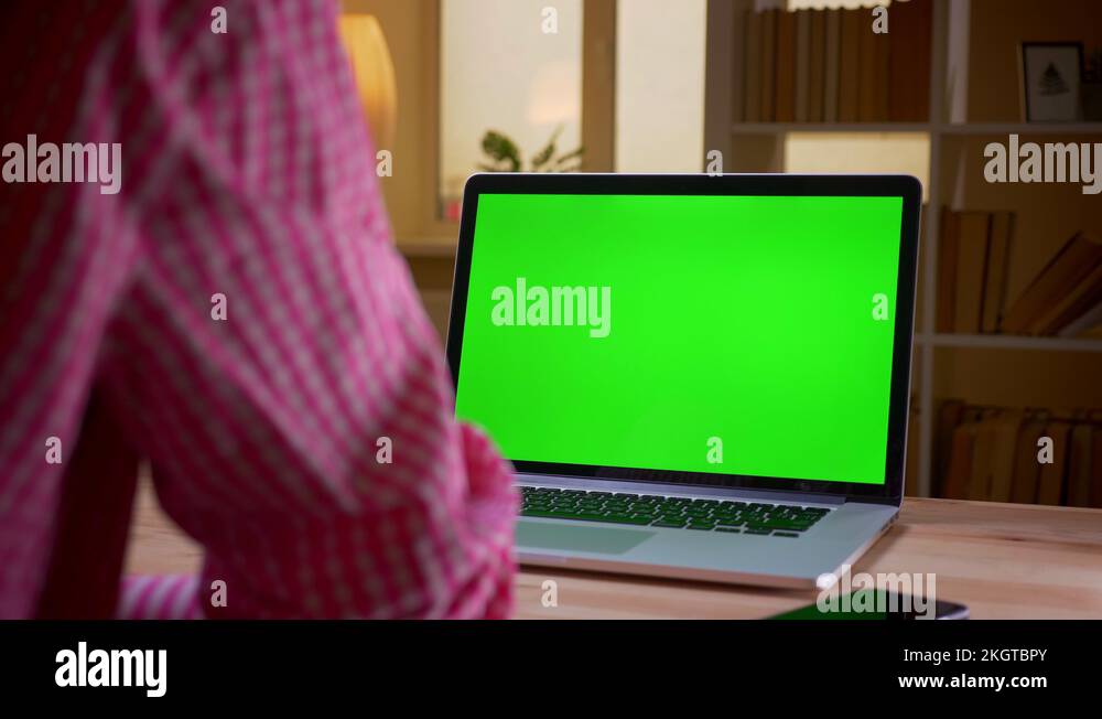 Closeup back view shoot of indian young businessman using the laptop ...