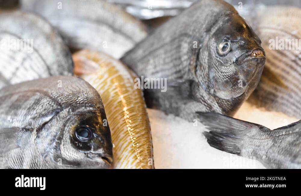 Fresh fish in display Stock Videos & Footage - HD and 4K Video Clips ...
