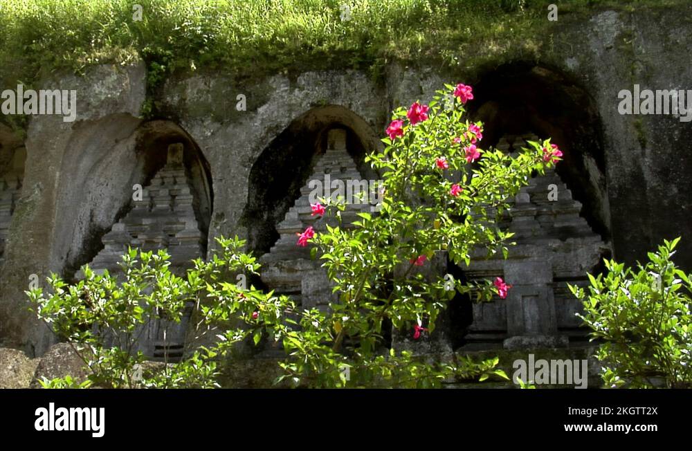 Flower temple Stock Videos & Footage - HD and 4K Video Clips - Alamy