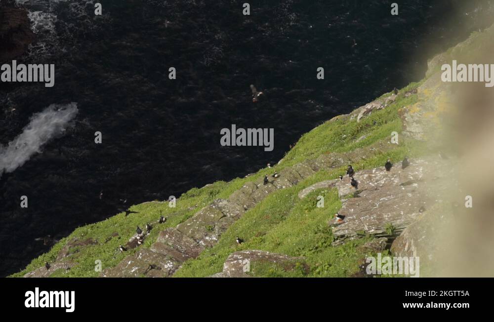Skellig michael island ireland Stock Videos & Footage - HD and 4K Video ...