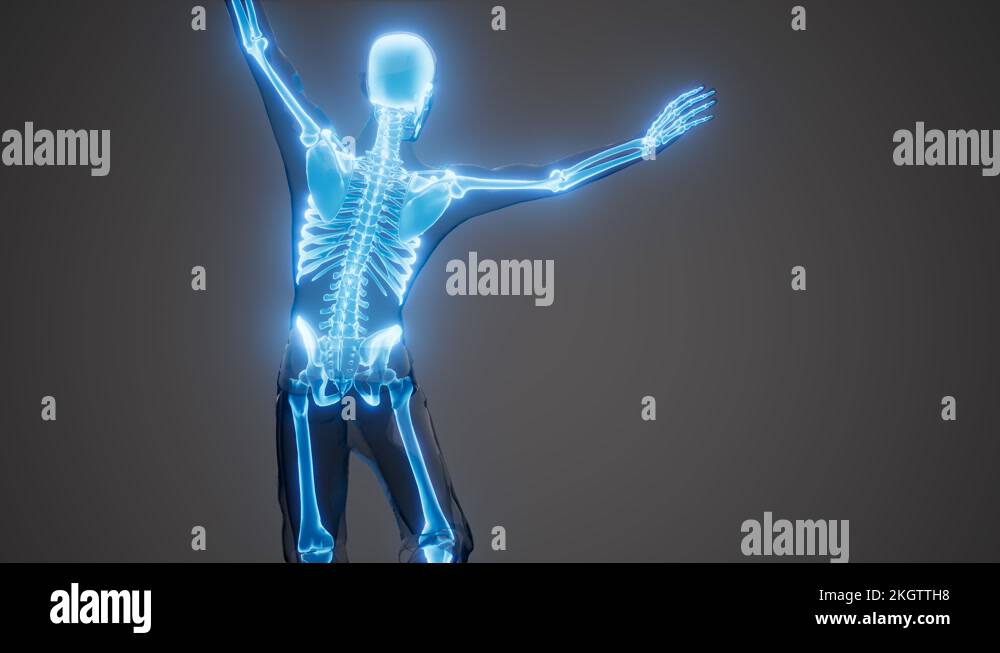 human skeleton radiography medical scan Stock Video Footage - Alamy