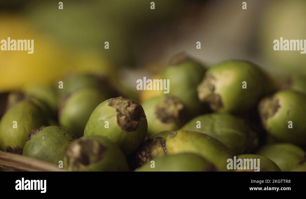 Coconut display Stock Videos & Footage - HD and 4K Video Clips - Alamy