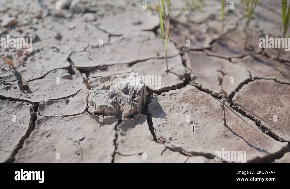 Dehydrated land Stock Videos & Footage - HD and 4K Video Clips - Alamy
