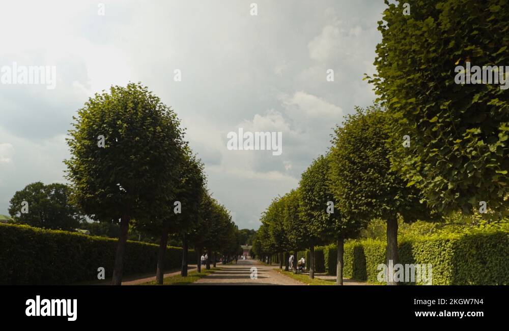 Serenity tree Stock Videos & Footage - HD and 4K Video Clips - Alamy
