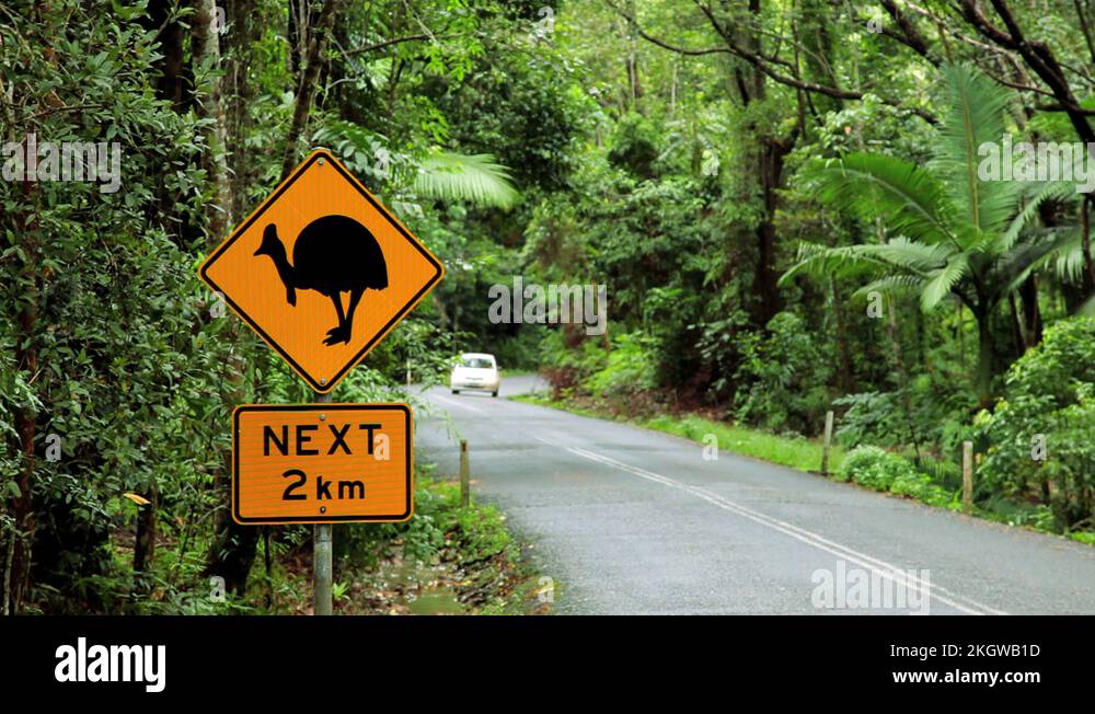 Forest sign australia Stock Videos & Footage - HD and 4K Video Clips ...