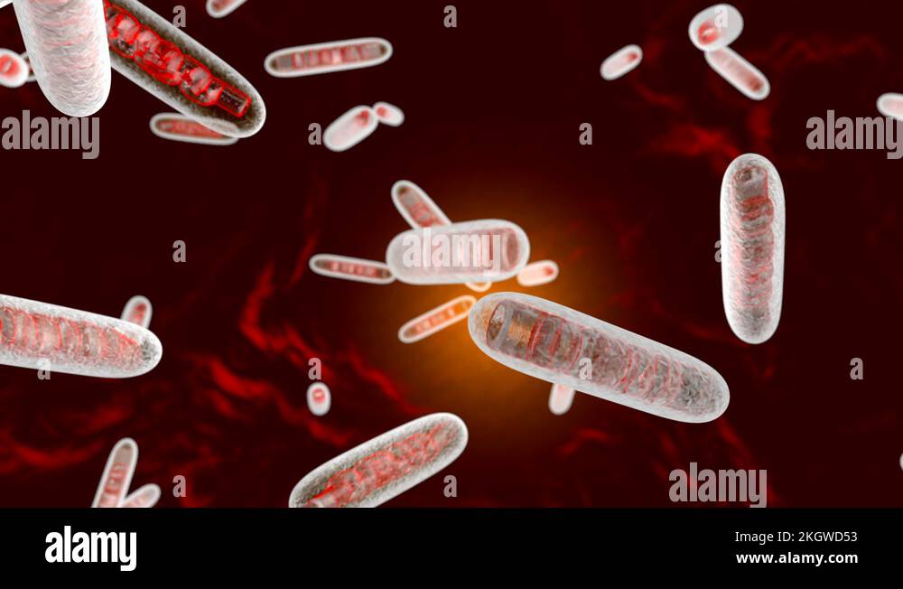 Mitochondrial dna illustration Stock Videos & Footage - HD and 4K Video ...