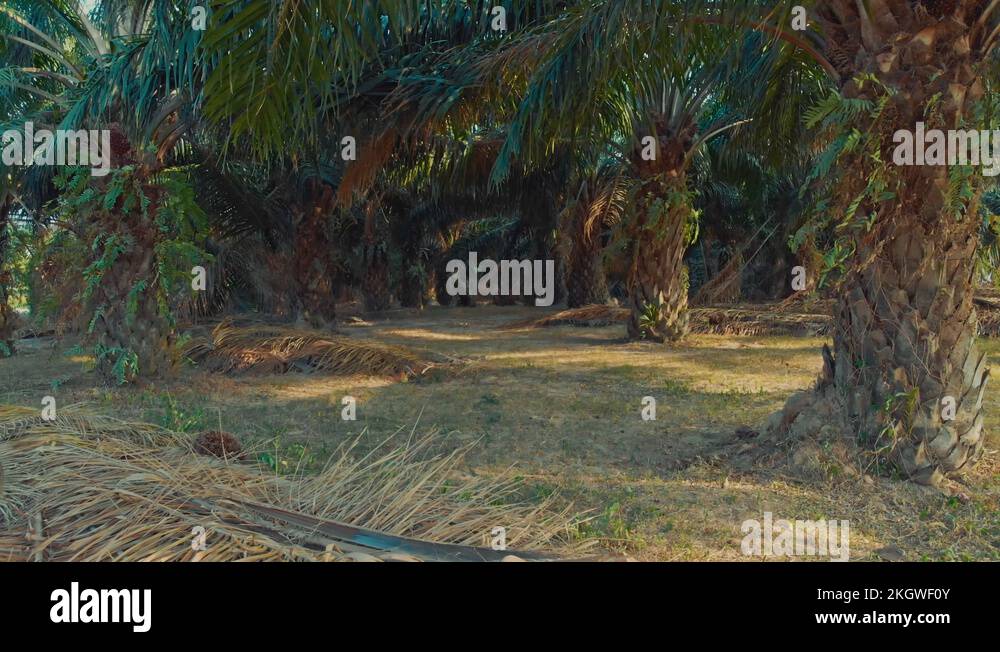 Dramatic flight Stock Videos & Footage - HD and 4K Video Clips - Alamy