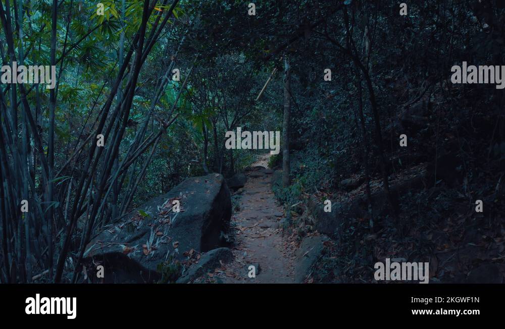 Dramatic jungle Stock Videos & Footage - HD and 4K Video Clips - Alamy